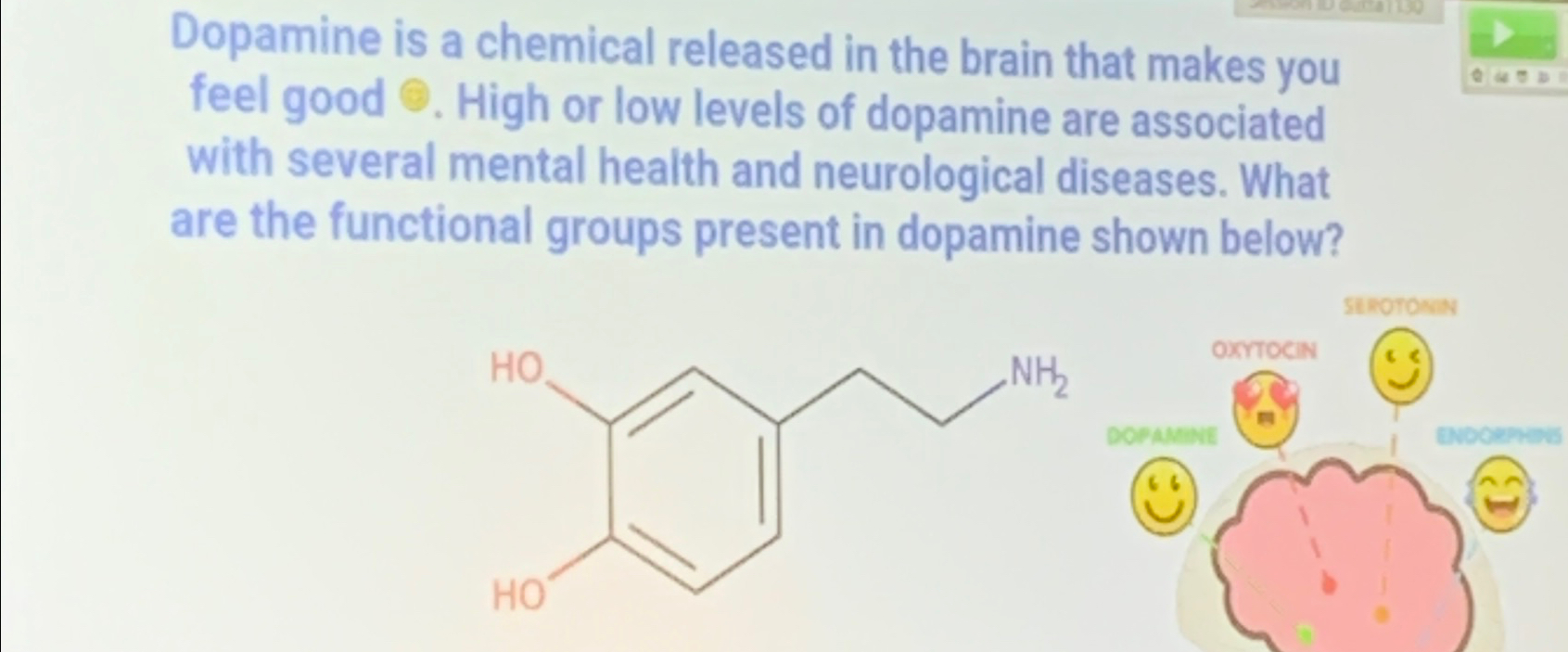 Solved Dopamine is a chemical released in the brain that | Chegg.com