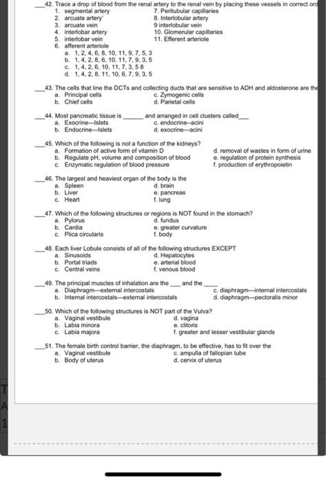 Solved _42. Trace a drop of blood from the renal artery to | Chegg.com