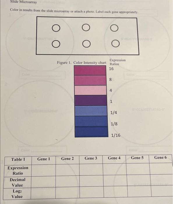Slide Microarray Color in results from the slide | Chegg.com