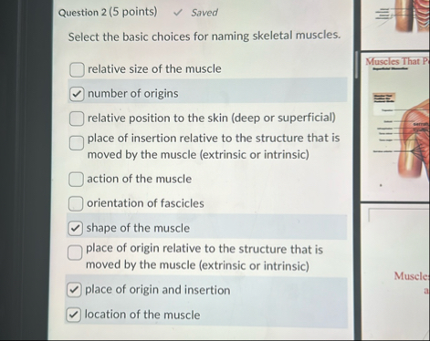 Solved Question 2 (5 ﻿points)SavedSelect the basic choices | Chegg.com