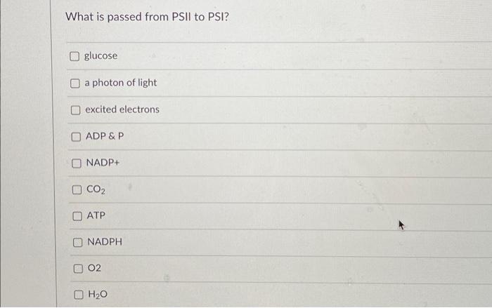 Solved PS II PSI Shown above is a generic diagram | Chegg.com