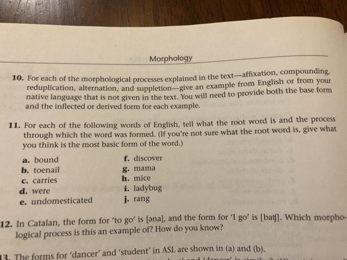 Morphology 10. For each of the morphological | Chegg.com
