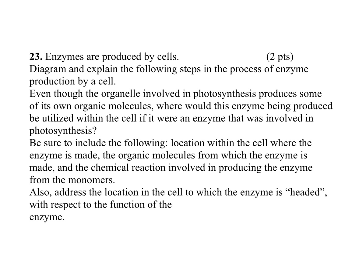 Solved Enzymes are produced by cells.(2 ﻿pts)Diagram and | Chegg.com