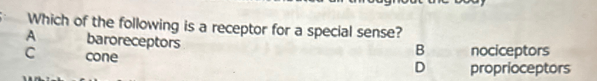 Solved Which of the following is a receptor for a special | Chegg.com
