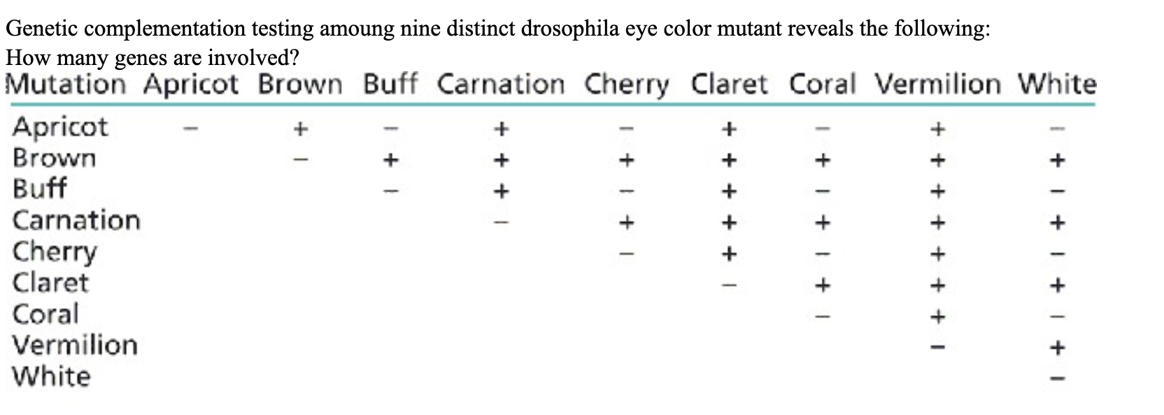 Solved Genetic complementation testing amoung nine distinct | Chegg.com
