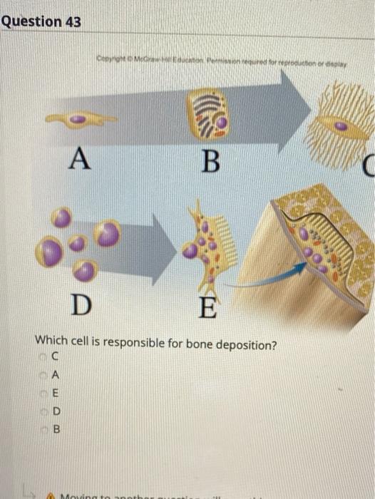 Solved uestion 34 veco her SO 2 3 4 5 ©Ed Reschke What type | Chegg.com