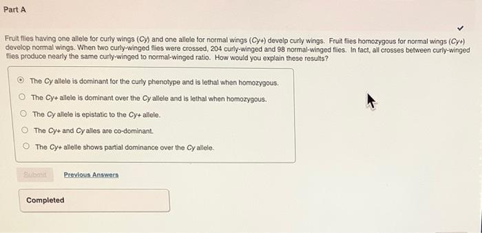 Solved Part A Fruit flies having one allele for curly wings | Chegg.com