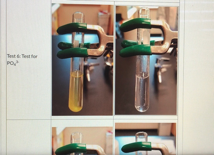 Solved Anion Tests Picture of control anion test Picture of | Chegg.com