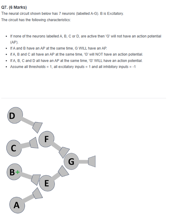 Solved Q7. (6 ﻿Marks)The neural circuit shown below has 7 | Chegg.com