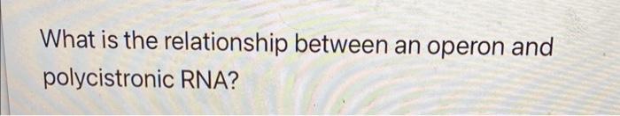 Solved What is the relationship between an operon and | Chegg.com