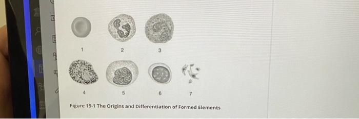 Solved E 2 3 3 5 7 Figure 19.1 The Origins and | Chegg.com