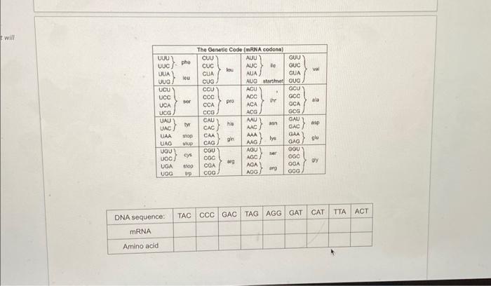 Solved \begin{tabular}{|c|c|c|c|c|c|c|c|c|c|} \hline DNA | Chegg.com