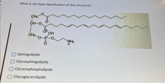 Solved What is the lipid classification of this structure? | Chegg.com