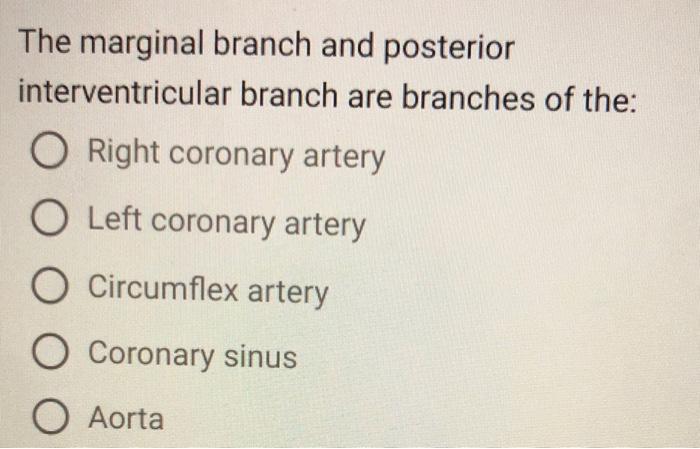 Solved The marginal branch and posterior interventricular | Chegg.com