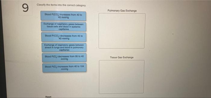 Solved Classify the items into the correct category | Chegg.com