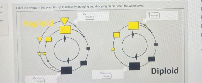 Solved label the events in the plant life cydle below by | Chegg.com