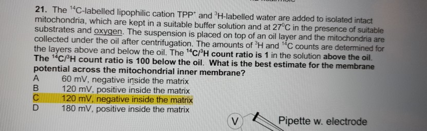 Solved 21. The C-labelled lipophilic cation TPP and | Chegg.com