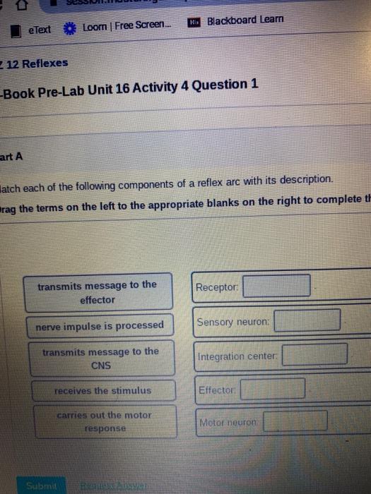 Solved e Text Loom Free Screen.. R. Blackboard Learn 12 | Chegg.com