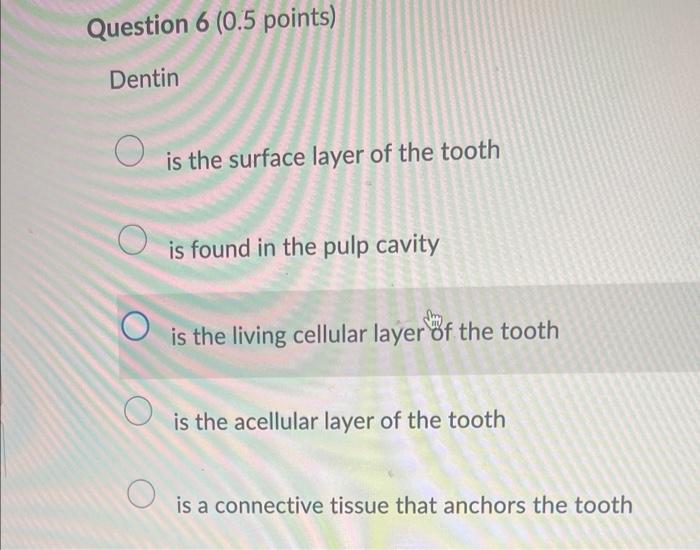 Solved Question 6 ( 0.5 points) Dentin is the surface layer | Chegg.com