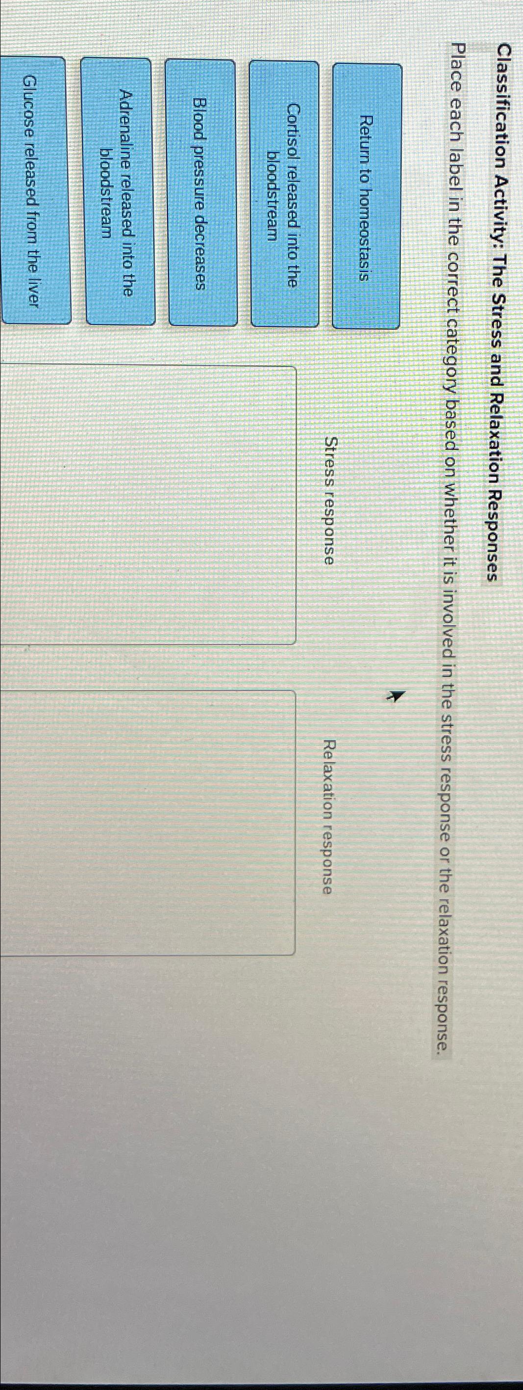 Solved Classification Activity: The Stress and Relaxation | Chegg.com