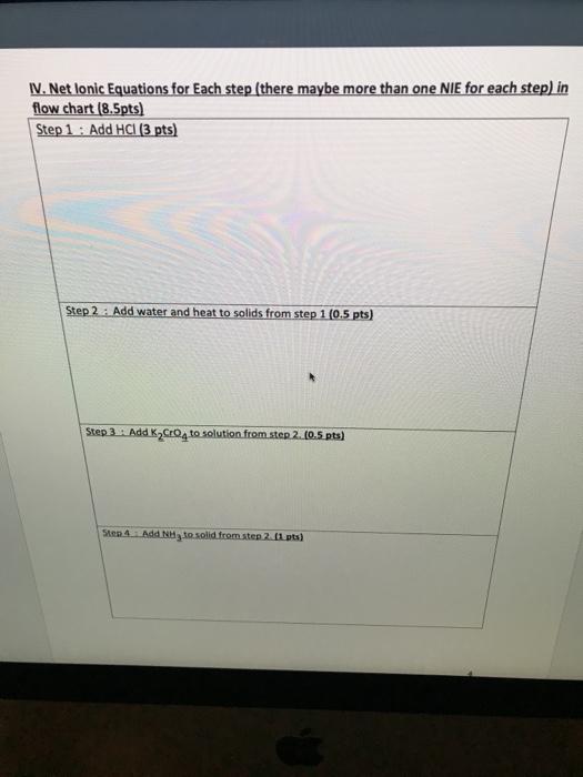 Solved Net lonic Equations for Each step (there maybe more | Chegg.com