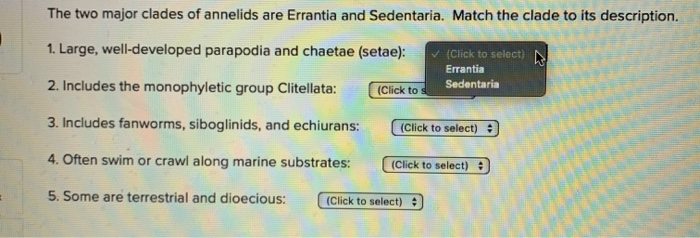 Solved The two major clades of annelids are Errantia and | Chegg.com