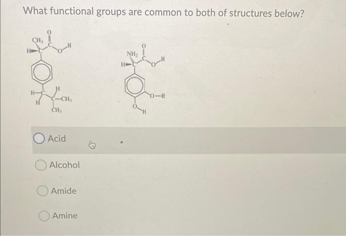 Solved What functional groups are common to both of | Chegg.com