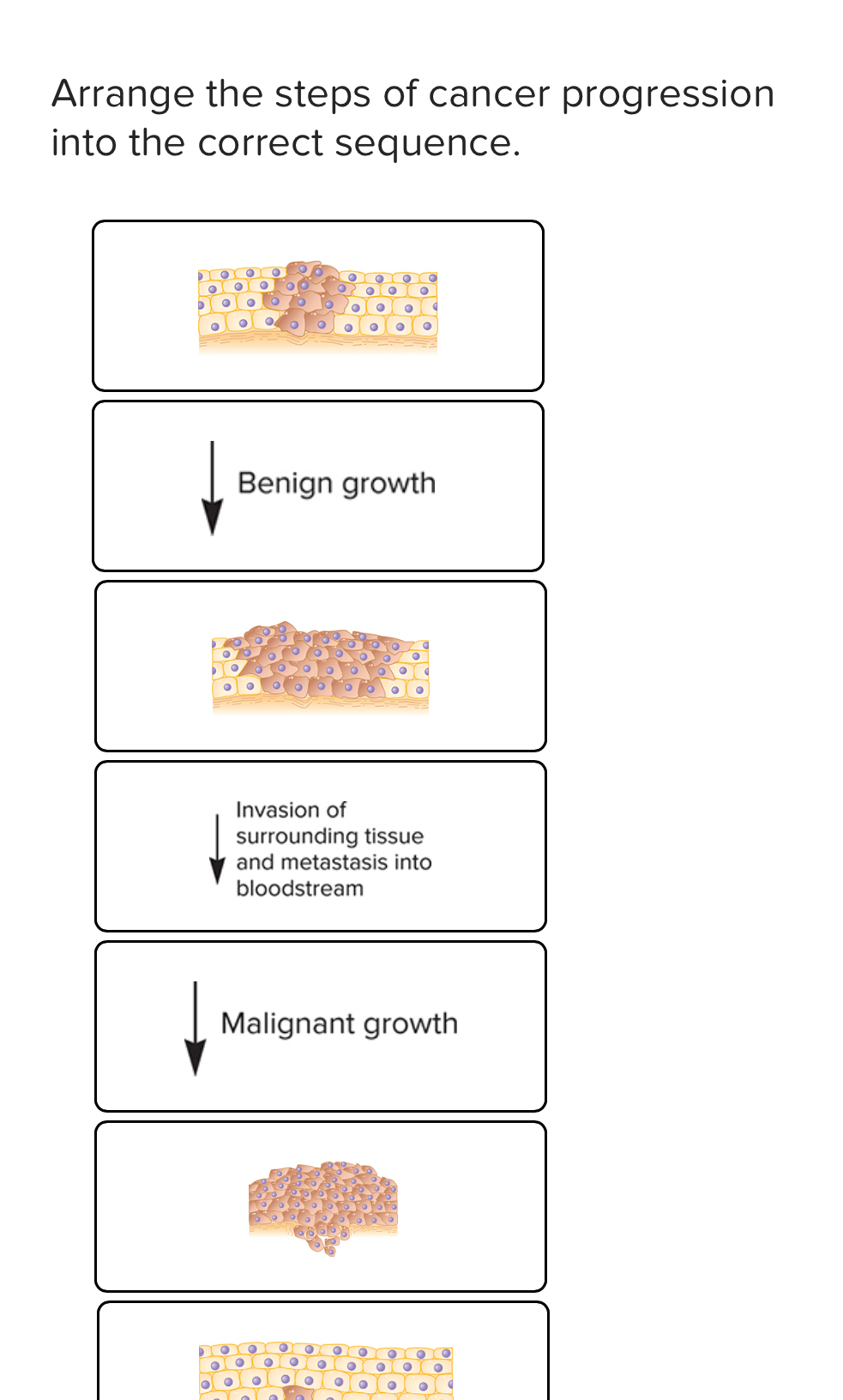 Solved Arrange the steps of cancer progression into the | Chegg.com