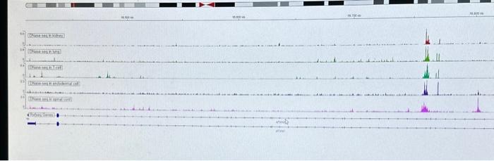 Solved analysis, meaning of the graph? | Chegg.com