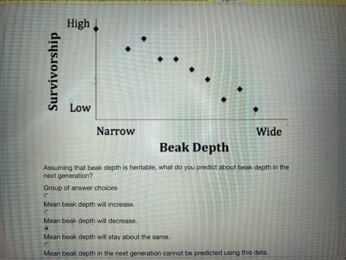 Solved High Survivorship Low Narrow Wide Beak Depth Assuming | Chegg.com