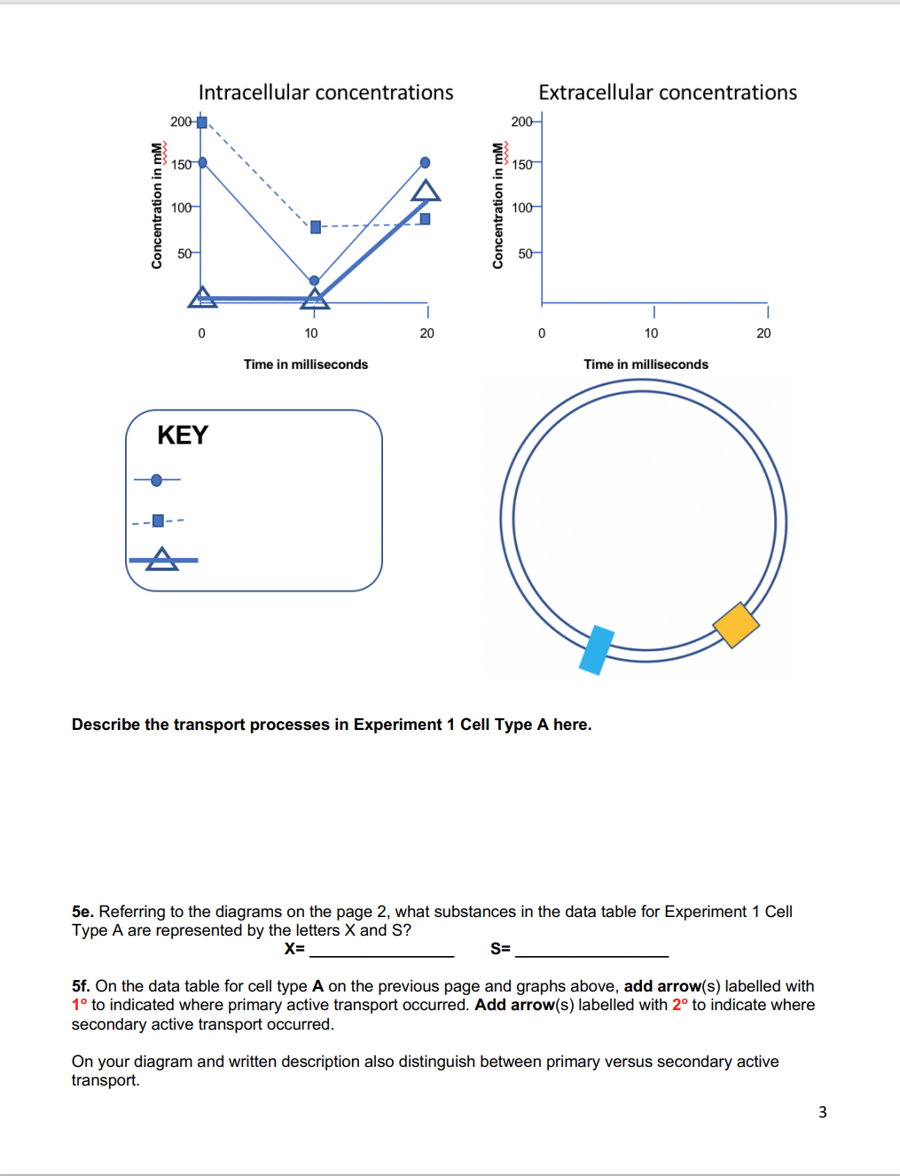 Solved Describe the transport processes in Experiment 1 | Chegg.com