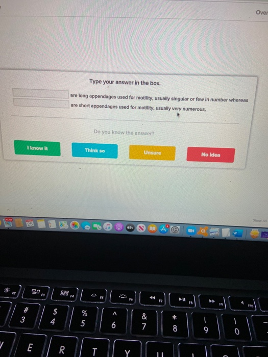 Solved Over Type your answer in the box. are long appendages | Chegg.com