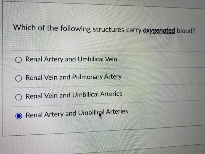 Solved Which of the following structures carry oxygenated | Chegg.com