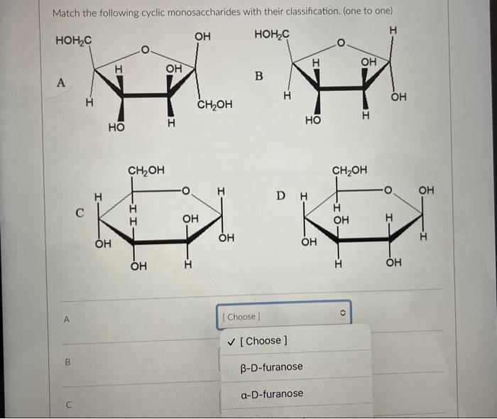 Solved Match the following cyclic monosaccharides with their | Chegg.com