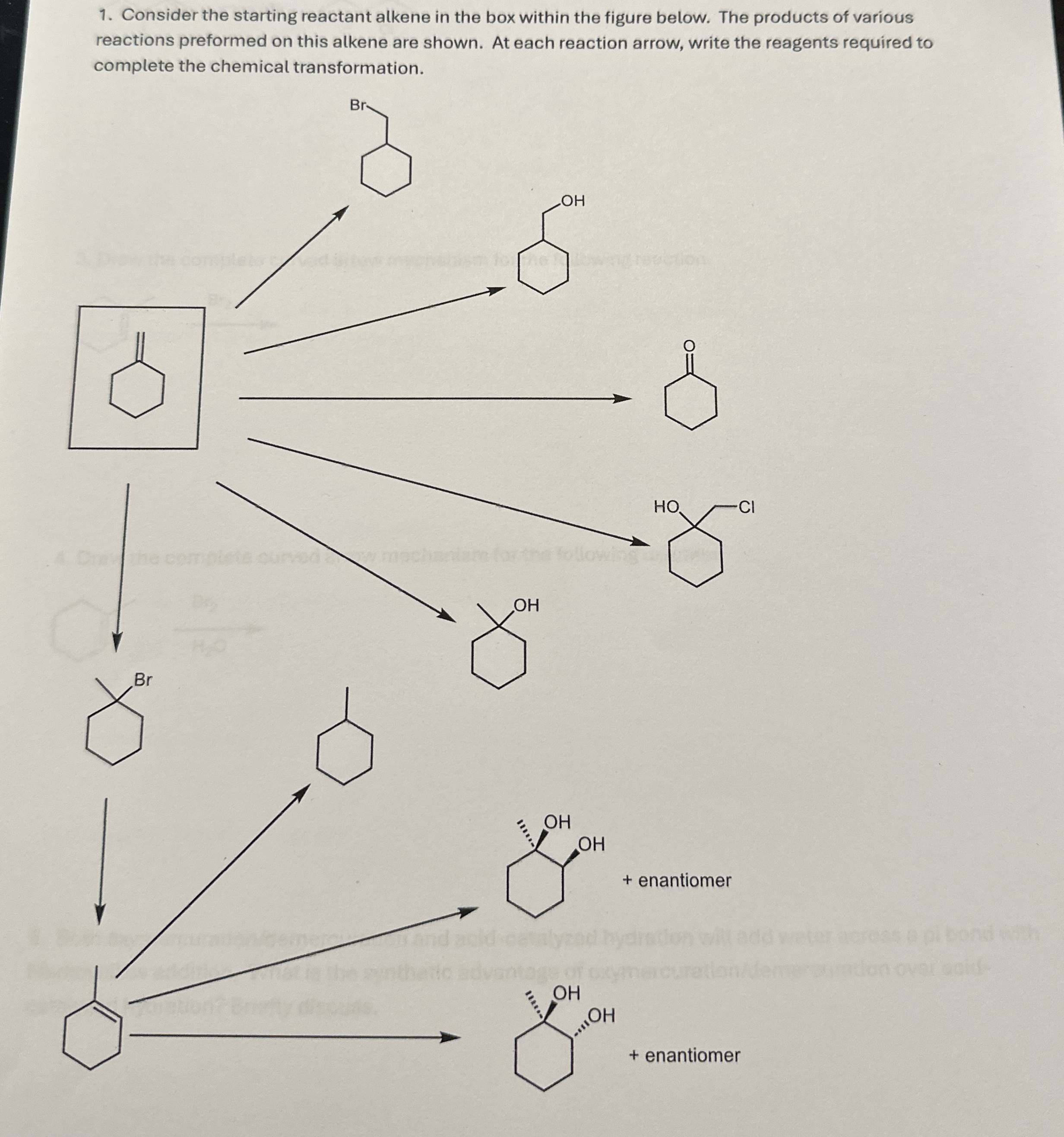 Consider the starting reactant alkene in the box | Chegg.com