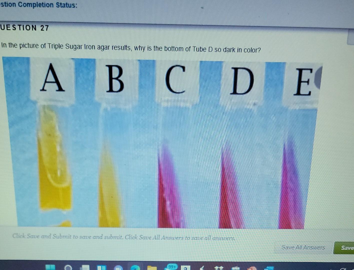 Solved stion Completion Status: UESTION 27 In the picture of | Chegg.com