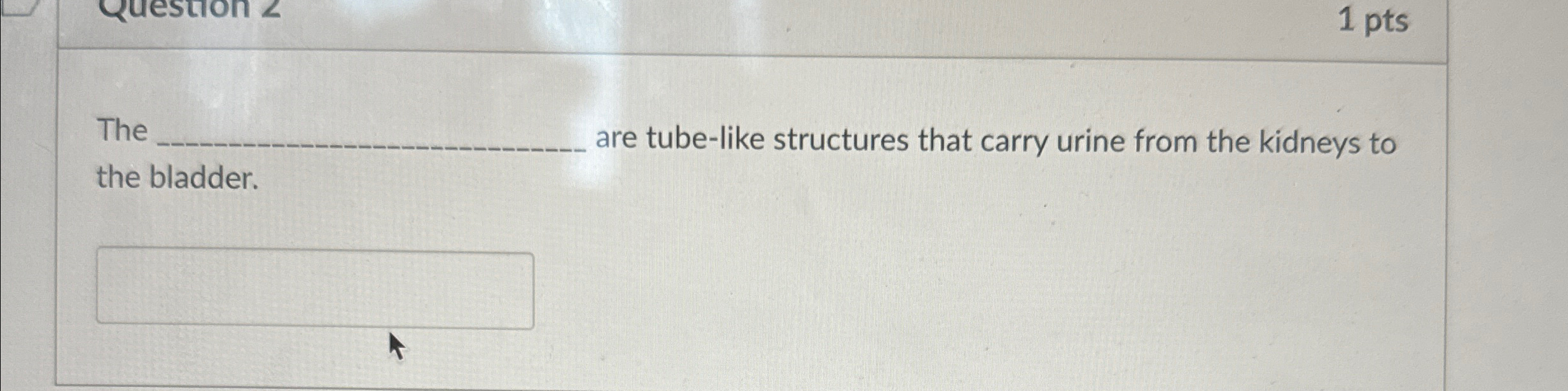 Solved T1 ﻿ptsthe bladder. are tube-like structures that | Chegg.com