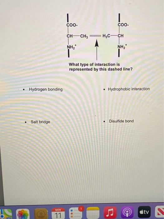 Solved COO- COO- CH -CH3 H3CCH NH2 NH2 What type of | Chegg.com