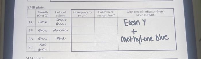 Solved EMB plate: | Chegg.com