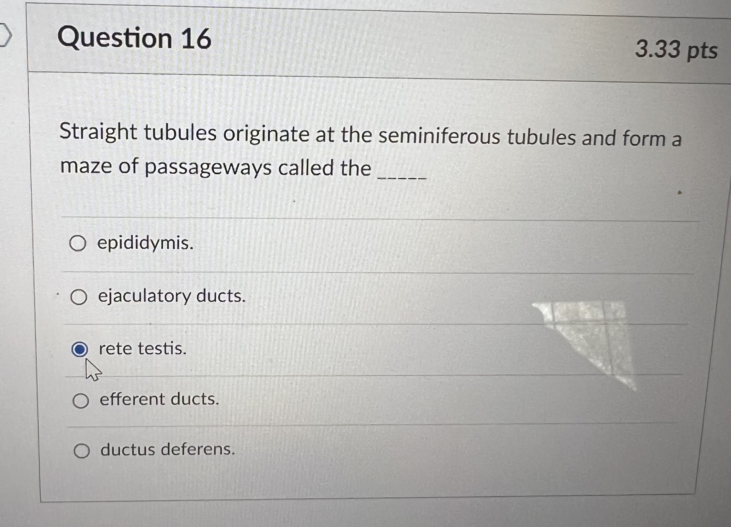 Solved Question 163.33 ﻿ptsStraight tubules originate at the | Chegg.com