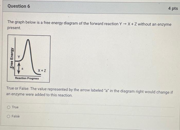 Solved The graph below is a free energy diagram of the | Chegg.com