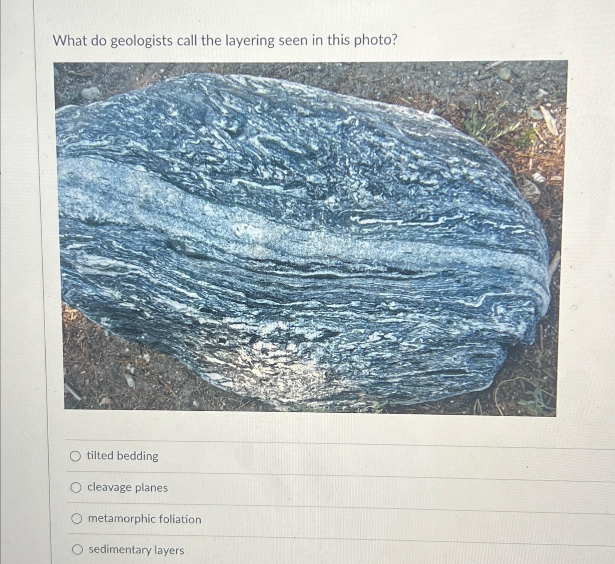 Solved What do geologists call the layering seen in this | Chegg.com