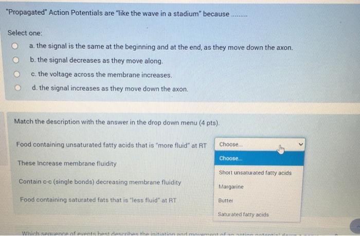 Solved "Propagated" Action Potentials are "like the wave in | Chegg.com