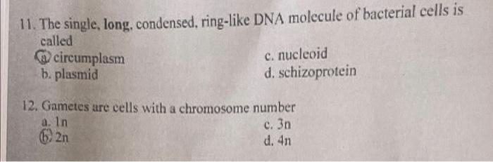 [Solved]: 11. The single, long, condensed, ring-like DNA mo