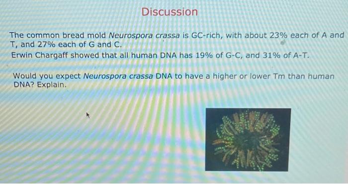 Solved The common bread mold Neurospora crassa is GC-rich, | Chegg.com