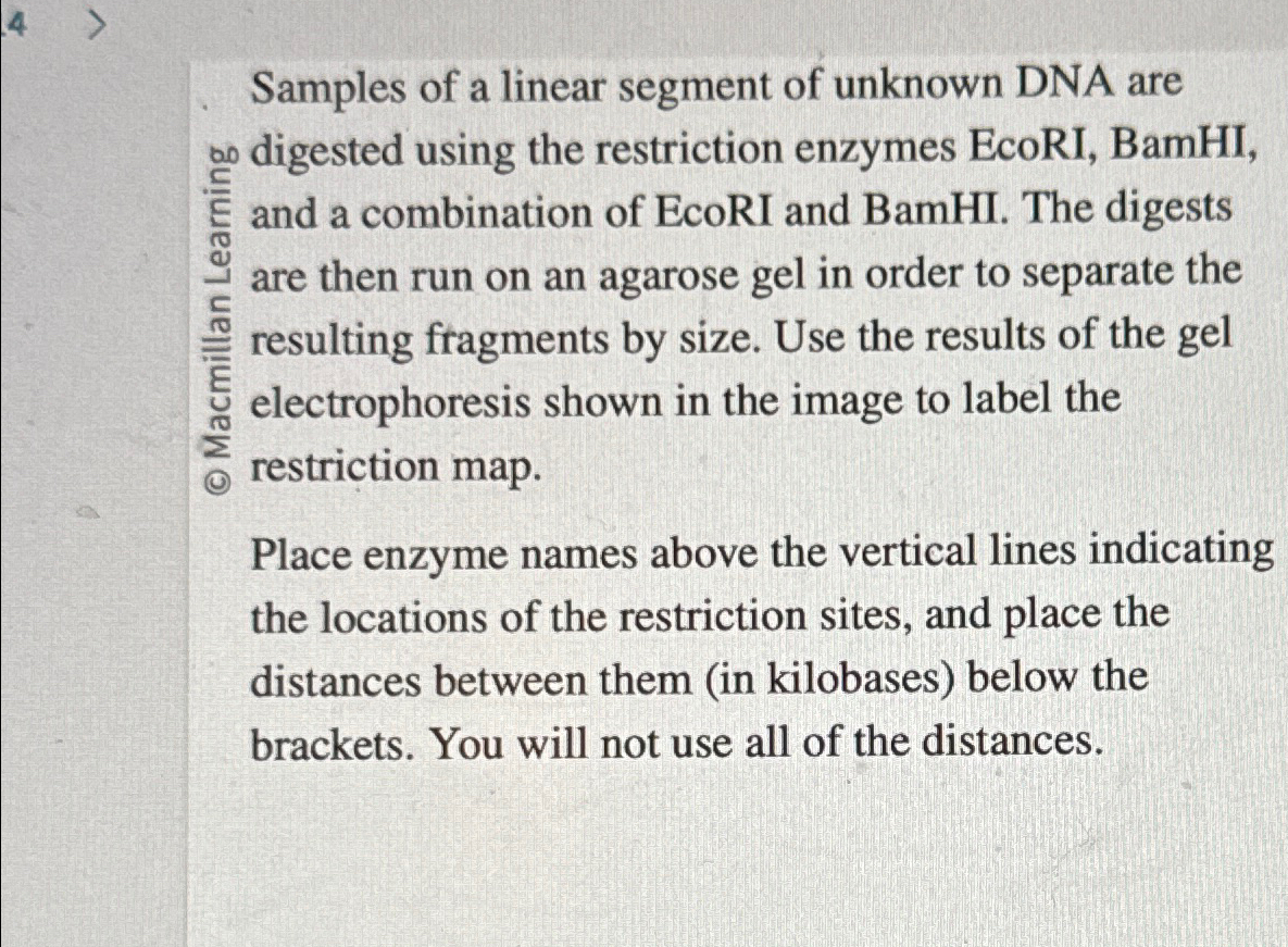 Solved Samples of a linear segment of unknown DNA are on | Chegg.com