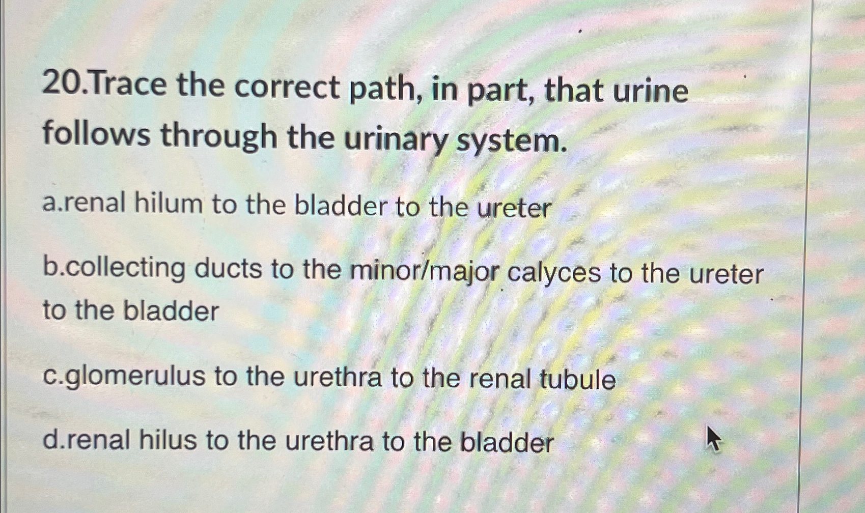 Solved 20.Trace the correct path, in part, that urine | Chegg.com