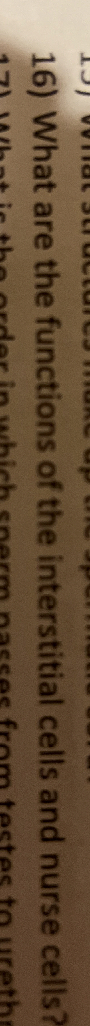 Solved What are the functions of the interstitial cells and | Chegg.com