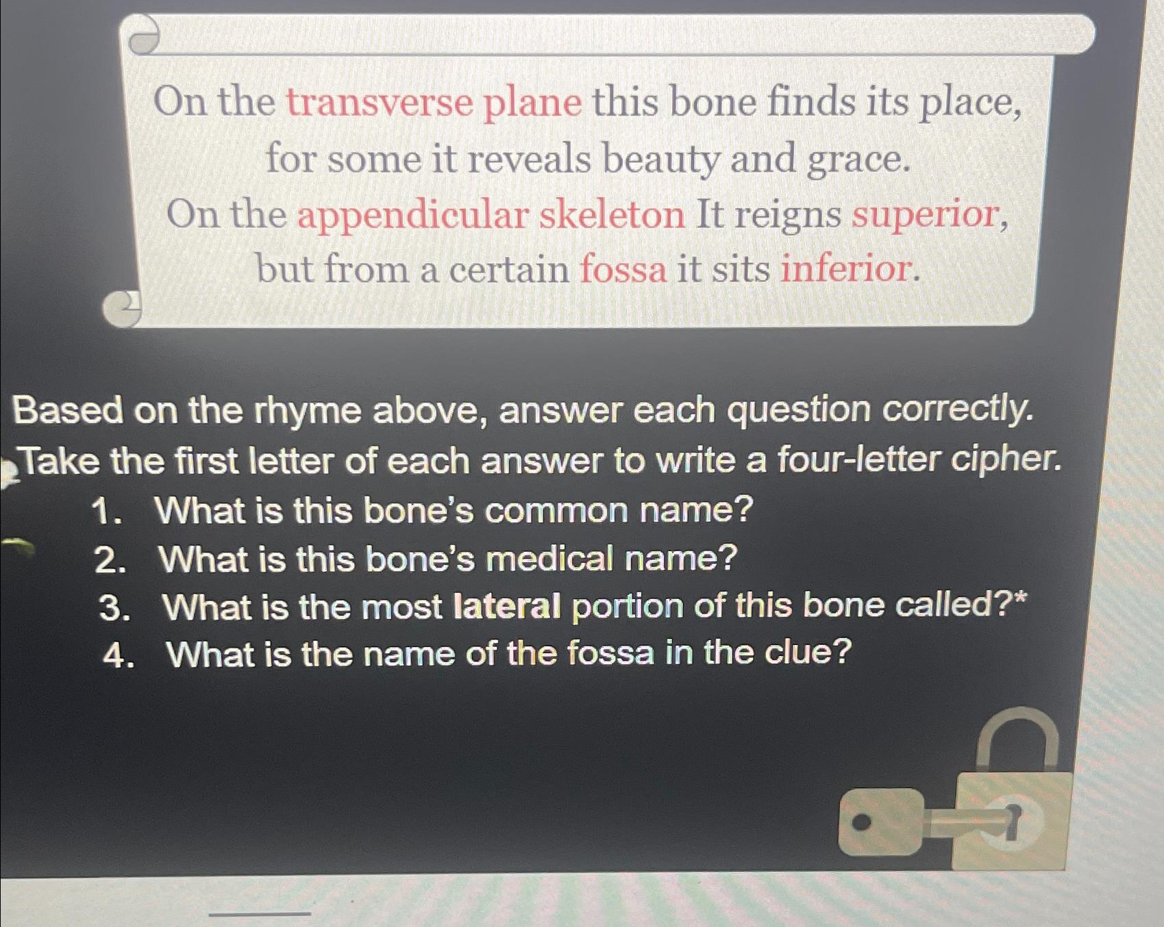 Solved On the transverse plane this bone finds its place, | Chegg.com