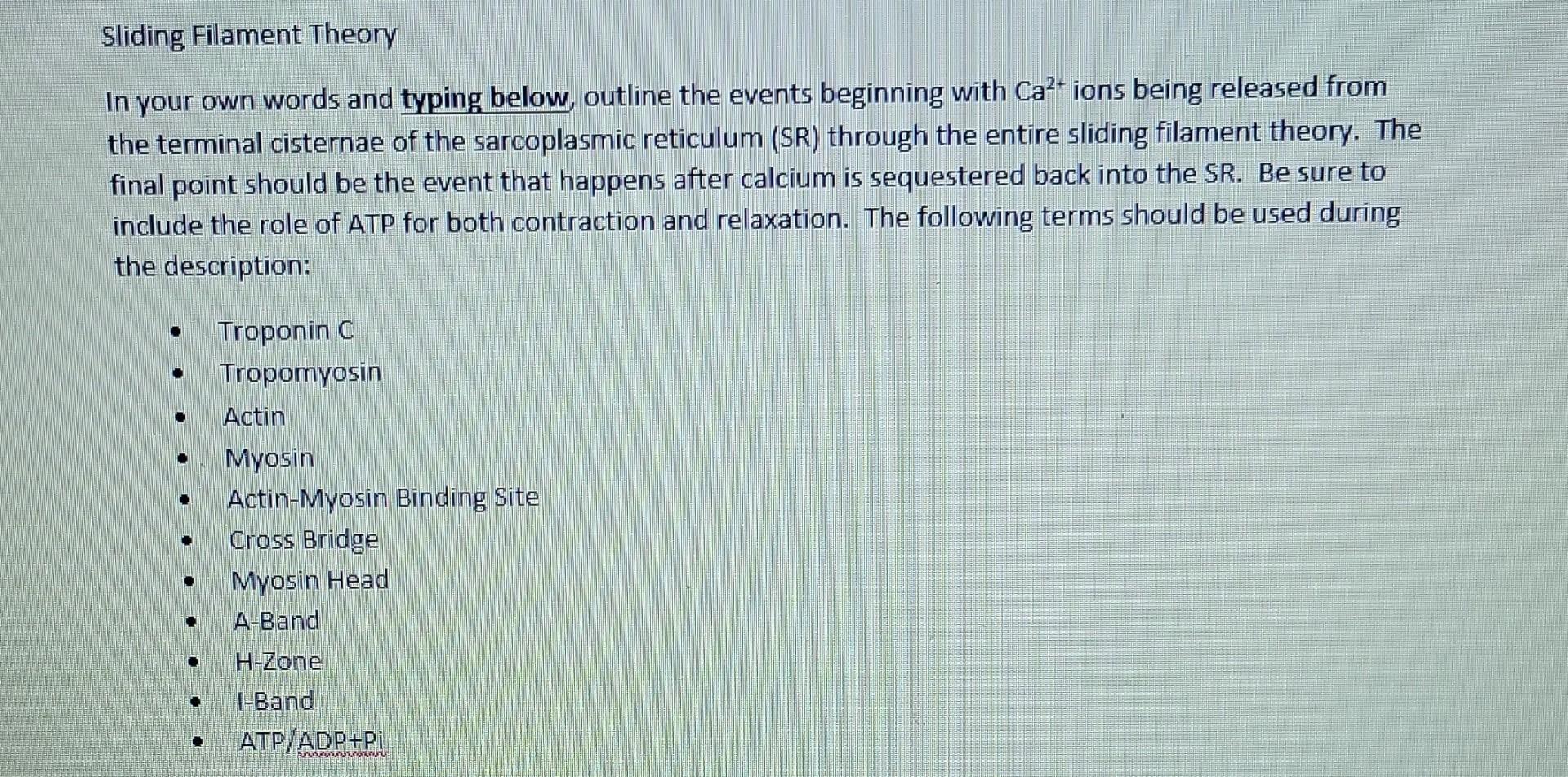 Solved Sliding Filament Theory In your own words and typing | Chegg.com